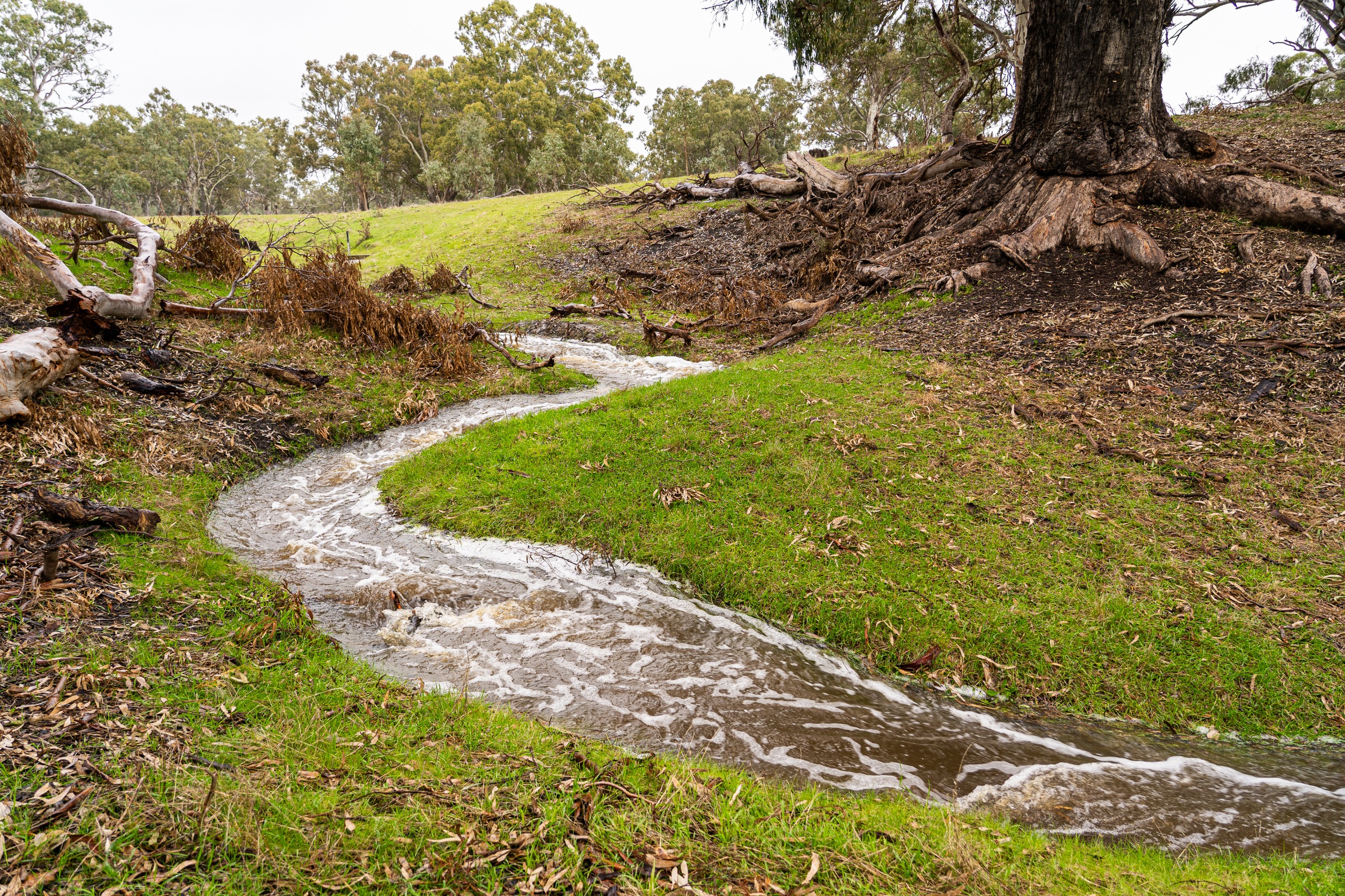 Tatiara Water Allocation Plan | Engage Limestone Coast Landscape Board